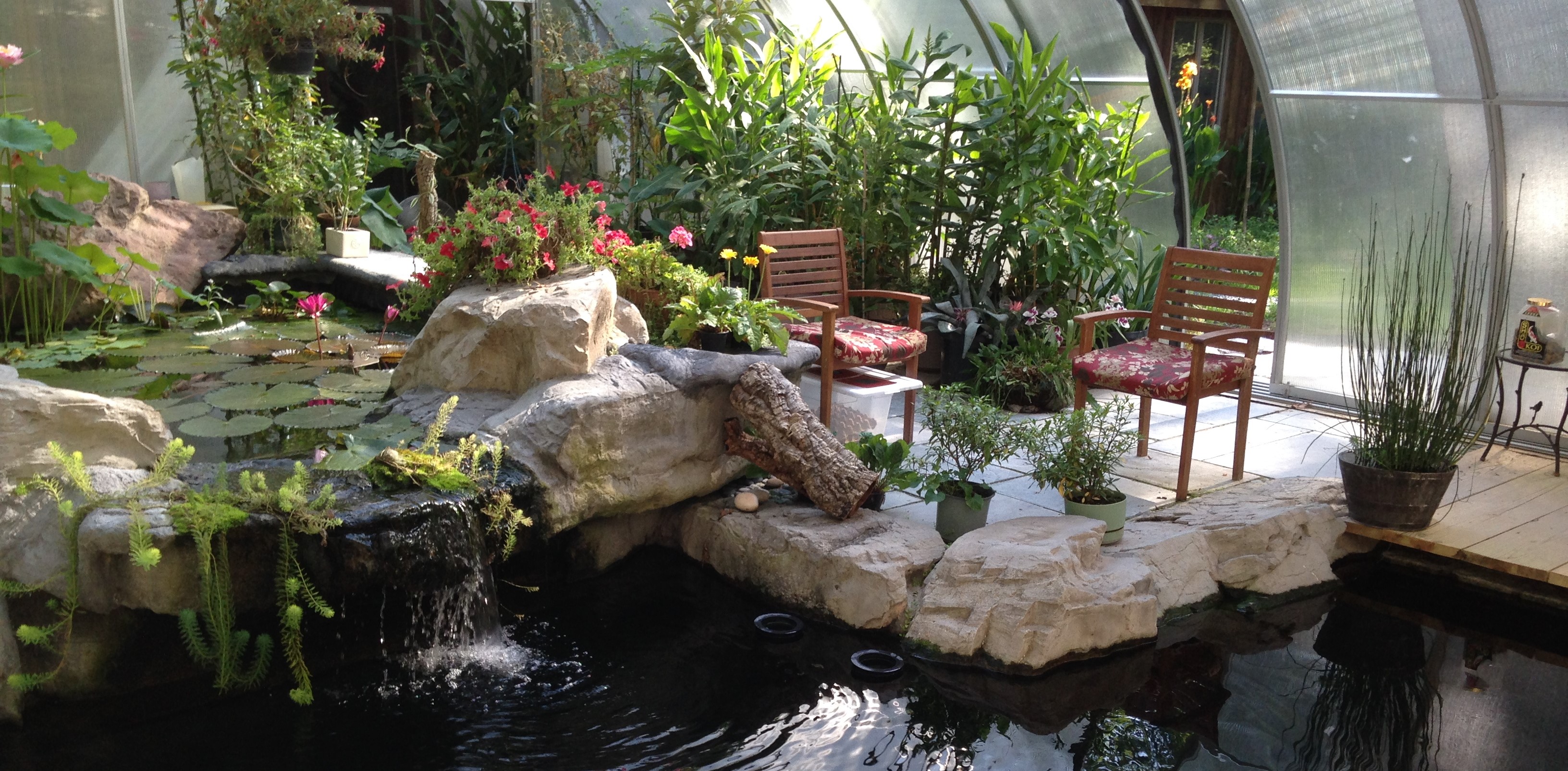 Transform Your Outdoors with Greenhouse Pool Enclosures